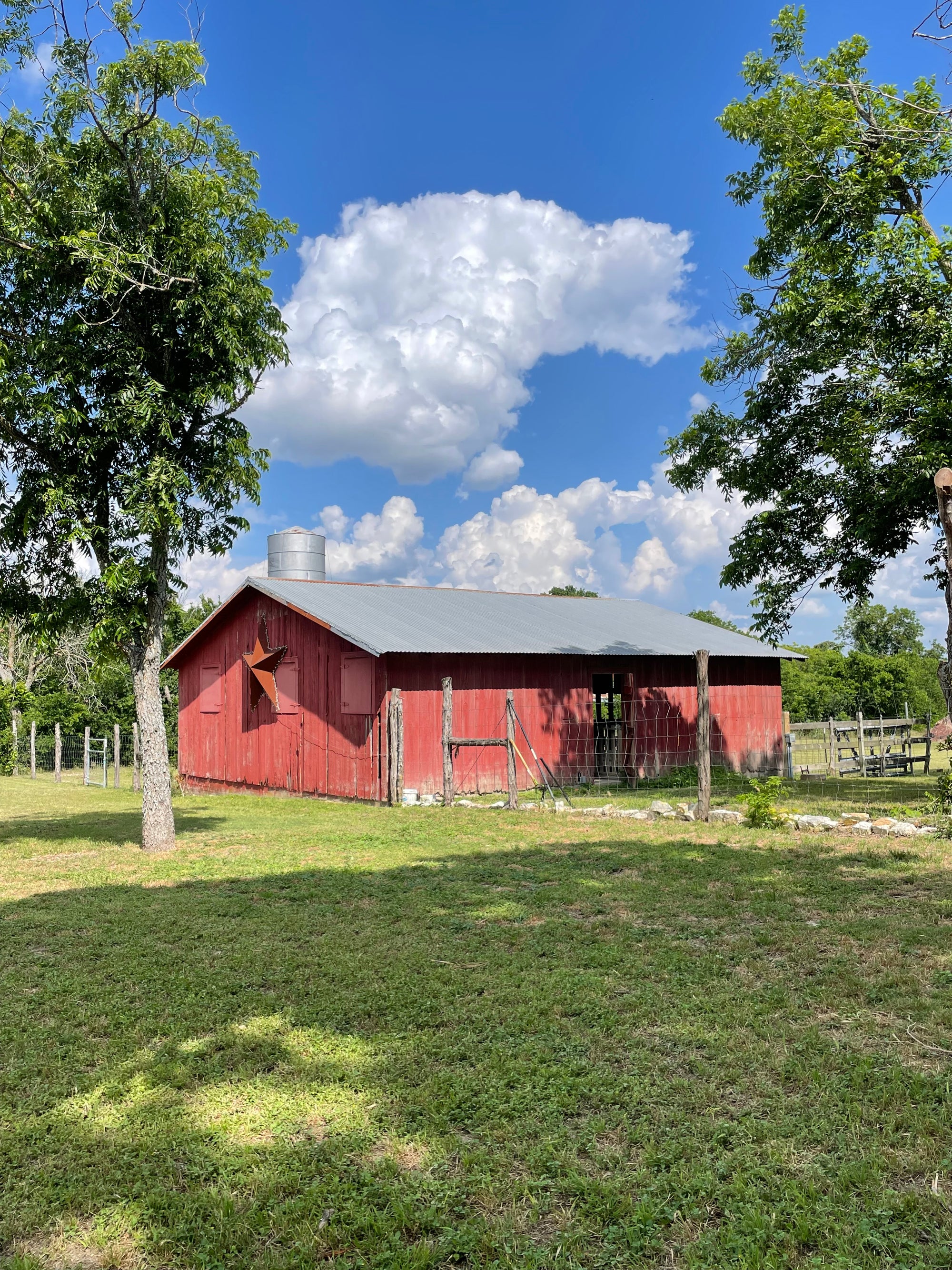 Red Barn Dog Ranch – Redbarndogranch